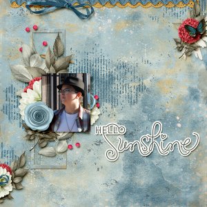 Hello Sunshine | PiCKLEBERRYPOP FORUMS