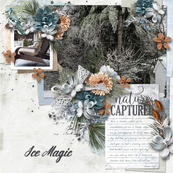 _PBP_Jan-Winter-Season-Challenge | PiCKLEBERRYPOP FORUMS