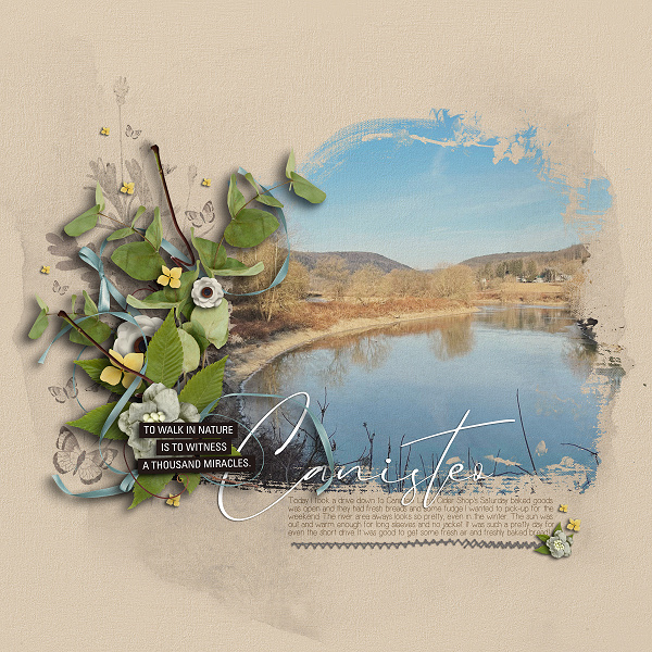 Canisteo | PiCKLEBERRYPOP FORUMS