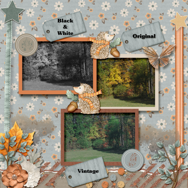Fall Splendour.png | PiCKLEBERRYPOP FORUMS