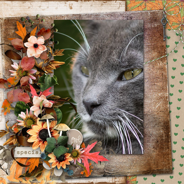 falling for you | PiCKLEBERRYPOP FORUMS