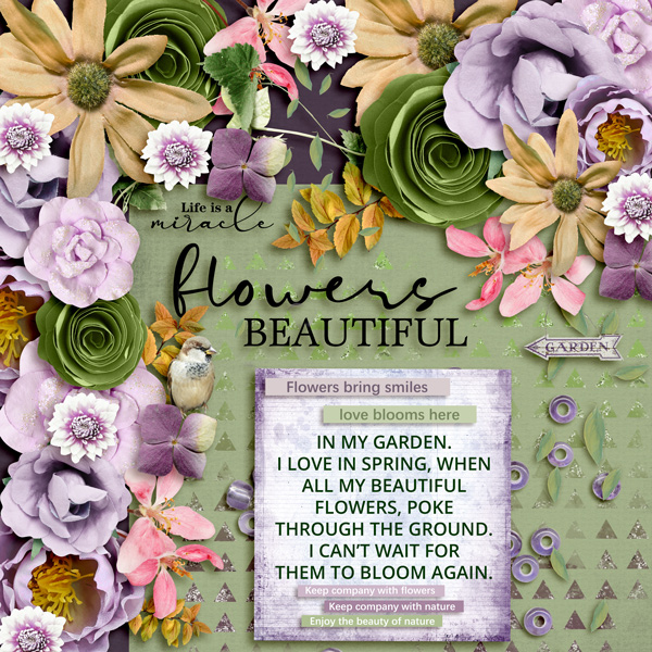 FLOWERS-BEAUTIFUL-WK-1-TECH-GDSO4--WEB.jpg | PiCKLEBERRYPOP FORUMS