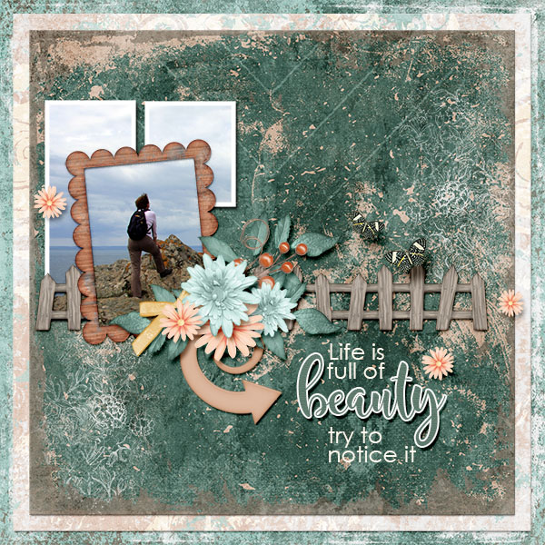 Life is full of beauty | PiCKLEBERRYPOP FORUMS