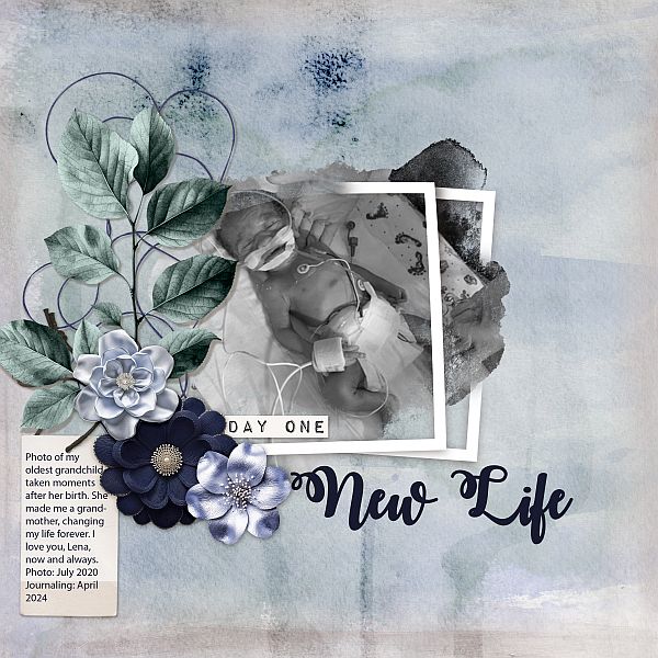 New Life | PiCKLEBERRYPOP FORUMS