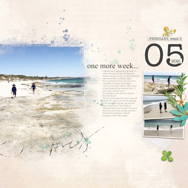 One more week | PiCKLEBERRYPOP FORUMS