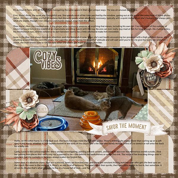 pickelberry 2025 02 random.jpg | PiCKLEBERRYPOP FORUMS