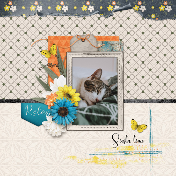 Siesta time | PiCKLEBERRYPOP FORUMS