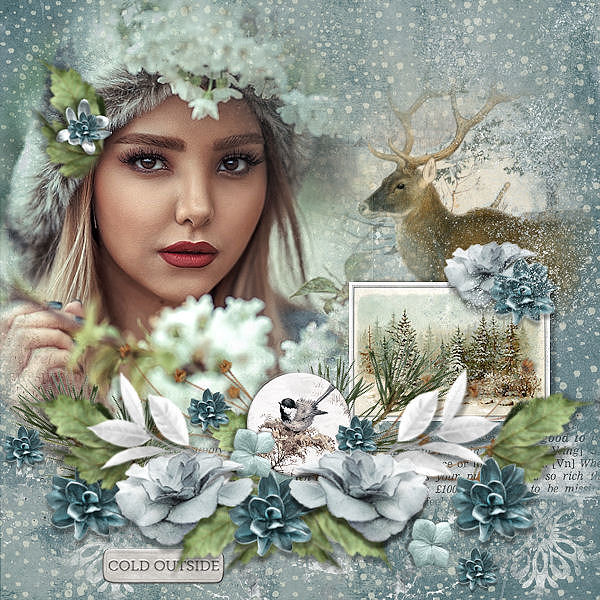 Spark of Winter | PiCKLEBERRYPOP FORUMS