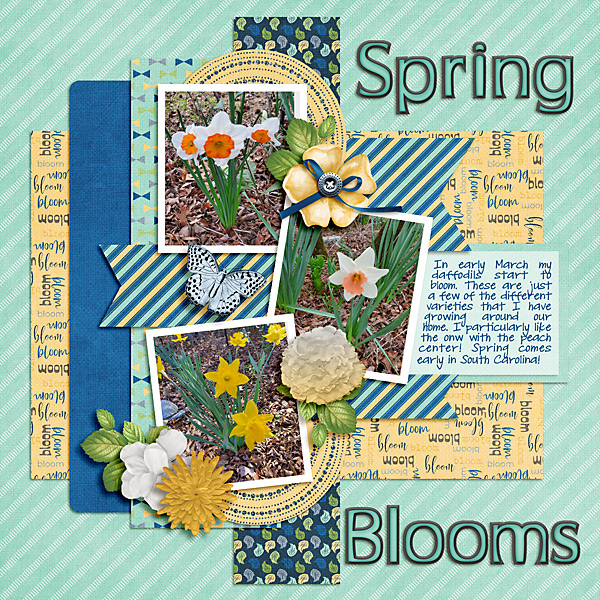 Spring Blooms | PiCKLEBERRYPOP FORUMS