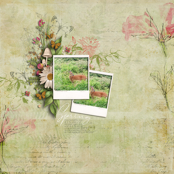 Spring | PiCKLEBERRYPOP FORUMS