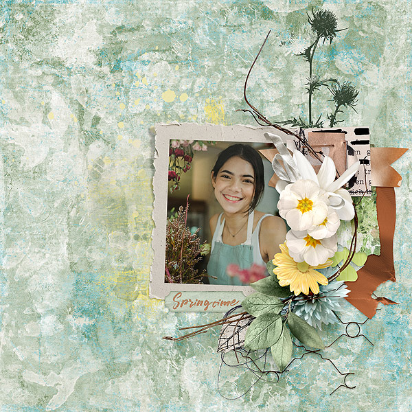 springtime | PiCKLEBERRYPOP FORUMS