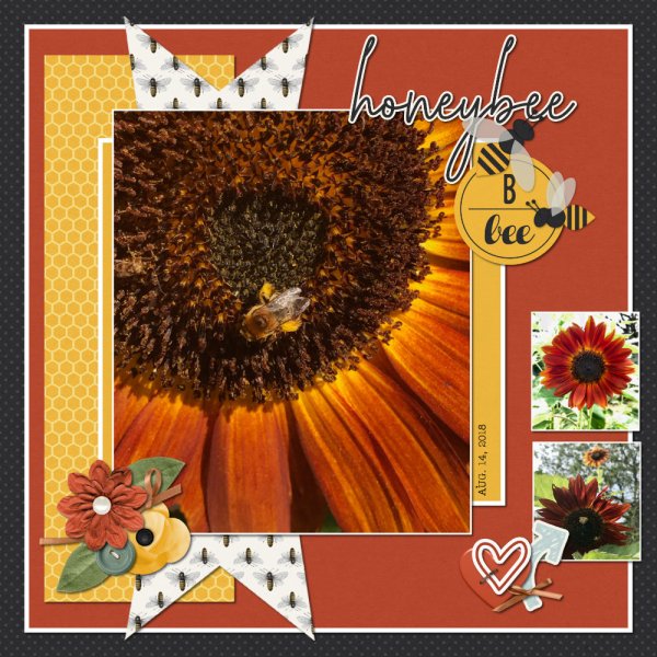 Sunflower & Bee 8-14-18 | PiCKLEBERRYPOP FORUMS