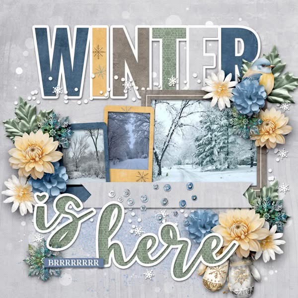 Winter is Here | PiCKLEBERRYPOP FORUMS