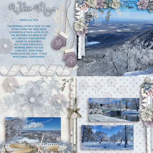 WINTER-PARKS-FOUR-CORNERS-GDSO4-3-24-WEB.jpg | PiCKLEBERRYPOP FORUMS