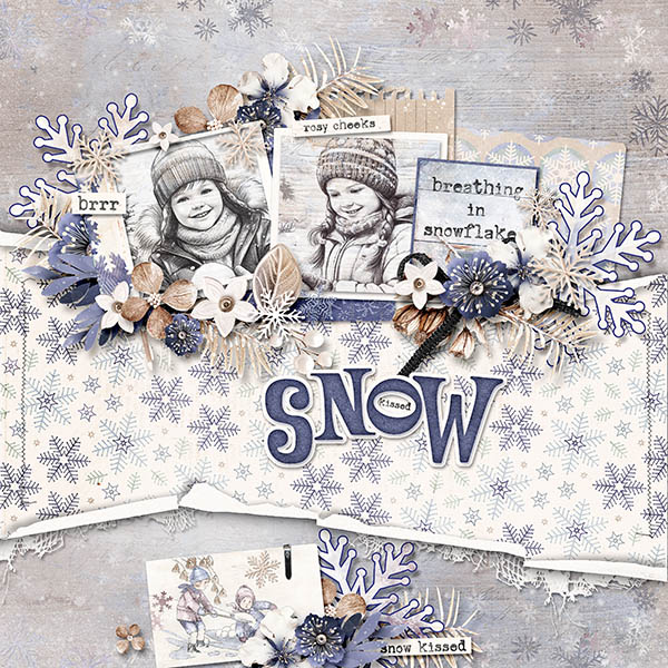 Winter Stories | PiCKLEBERRYPOP FORUMS