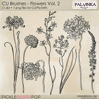 CU Brushes - Flowers 2 by Palvinka Designs