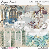 Beyond Beauty - Overlays by Dutch Dream Designs