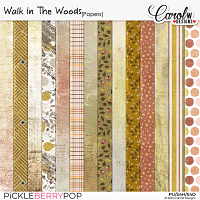 Walk In The Woods-Papers by CarolW Designs