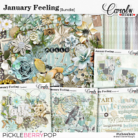 January Feeling-Bundle by CarolW Designs