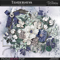 Tenderness ~ Basic Kit by TirAmisu design