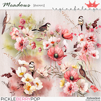 MEADOWS CLUSTERS by reginafalango