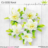 CU 0232 FLORAL REGINAFALANGO