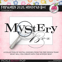 February 2025 Mystery Box, a PBP Challenge Kit