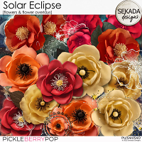 Solar Eclipse [flower overlays] by Sekada Designs