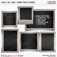 Feels Like June | Worn Photo Frames by Akizo Designs