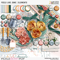 Feels Like June | Elements by Akizo Designs