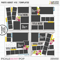 Photo Addict 13 | Templates by Akizo Designs