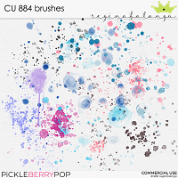 CU 884 BRUSHES BY REGINAFALANGO
