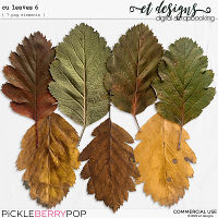 CU Digital Scrapbooking Leaves 6 by et designs