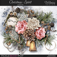 Christmas Spirit ~ Basic Kit by TirAmisu design