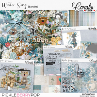 Winter Song Bundle
