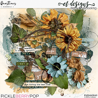 Questions Digital Scrapbooking Artsy Elements by et designs