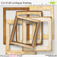 CU 0169 ANTIQUE FRAMES BY REGINAFALANGO