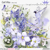 CIEL BLEU THE KIT by reginafalango